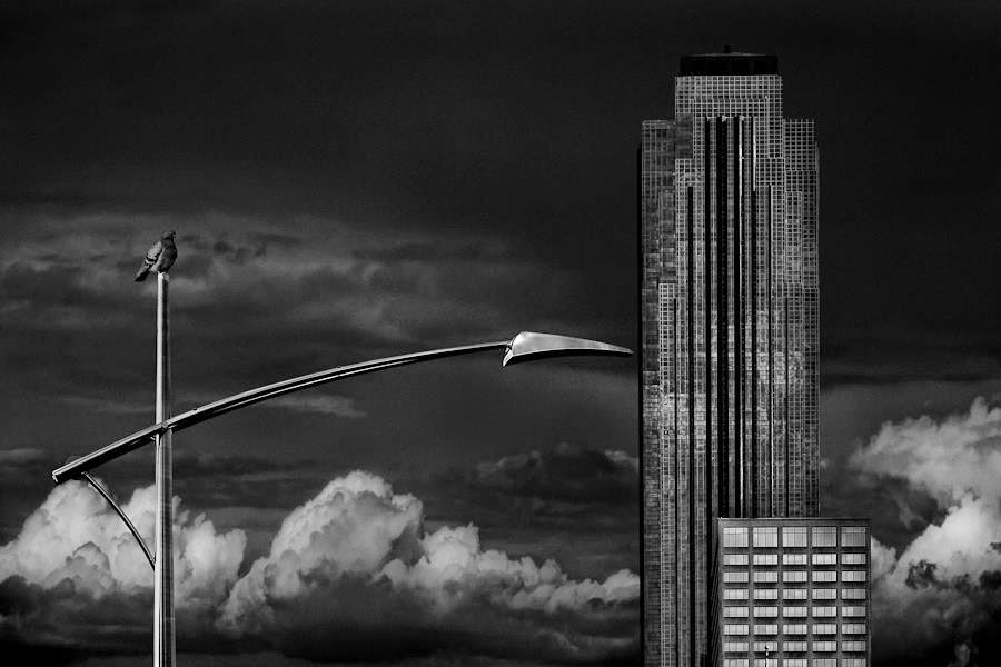 OLTRE IL MURO: ARTE e FOTOGRAFIA: JARED LIM | PHOTOGRAPHER