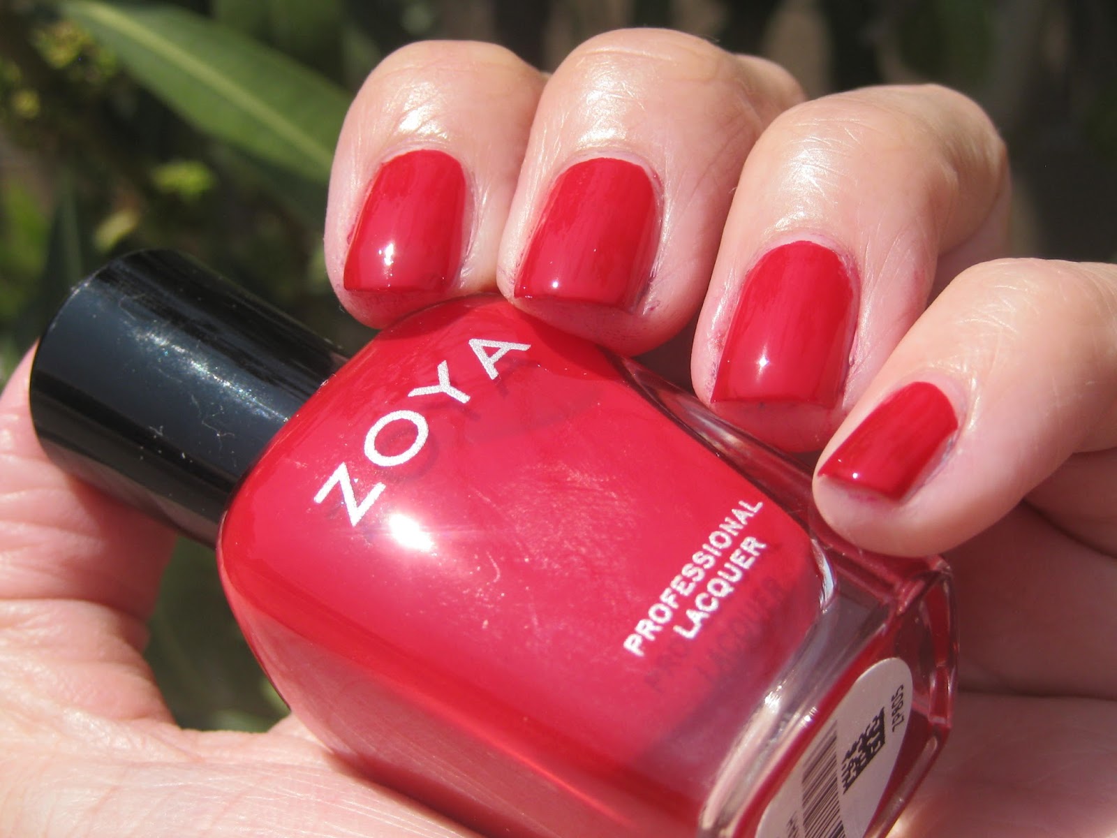 Zoya Fall 2015 Focus and Flair Collections Swatches, Video Review - The ...