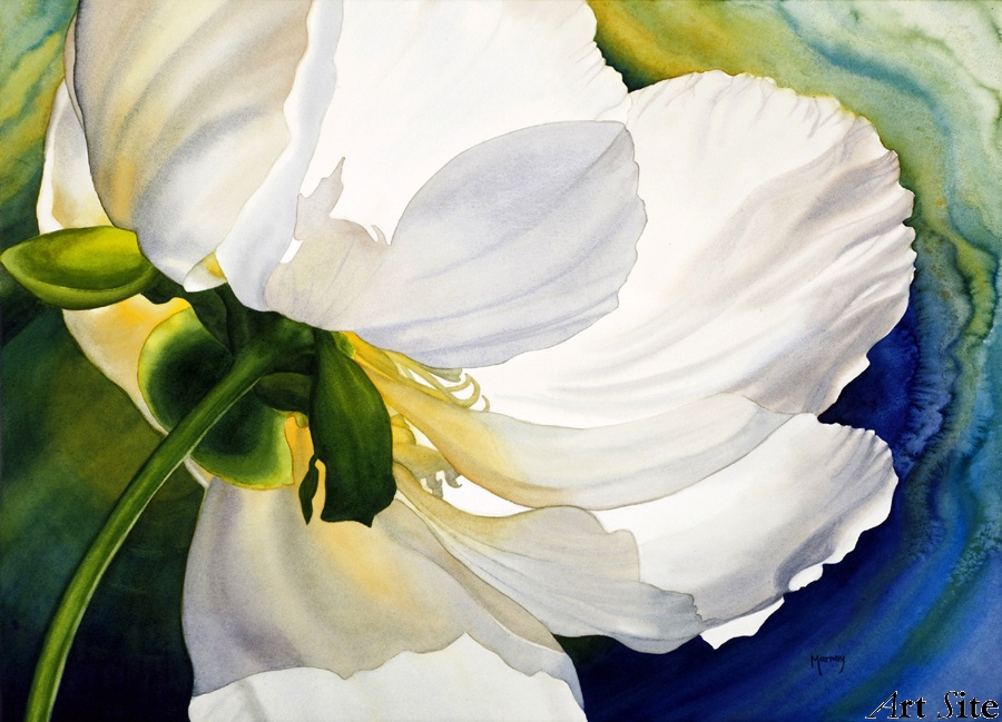 COSICAS VARIAS: Marney Ward SFCA, Artist