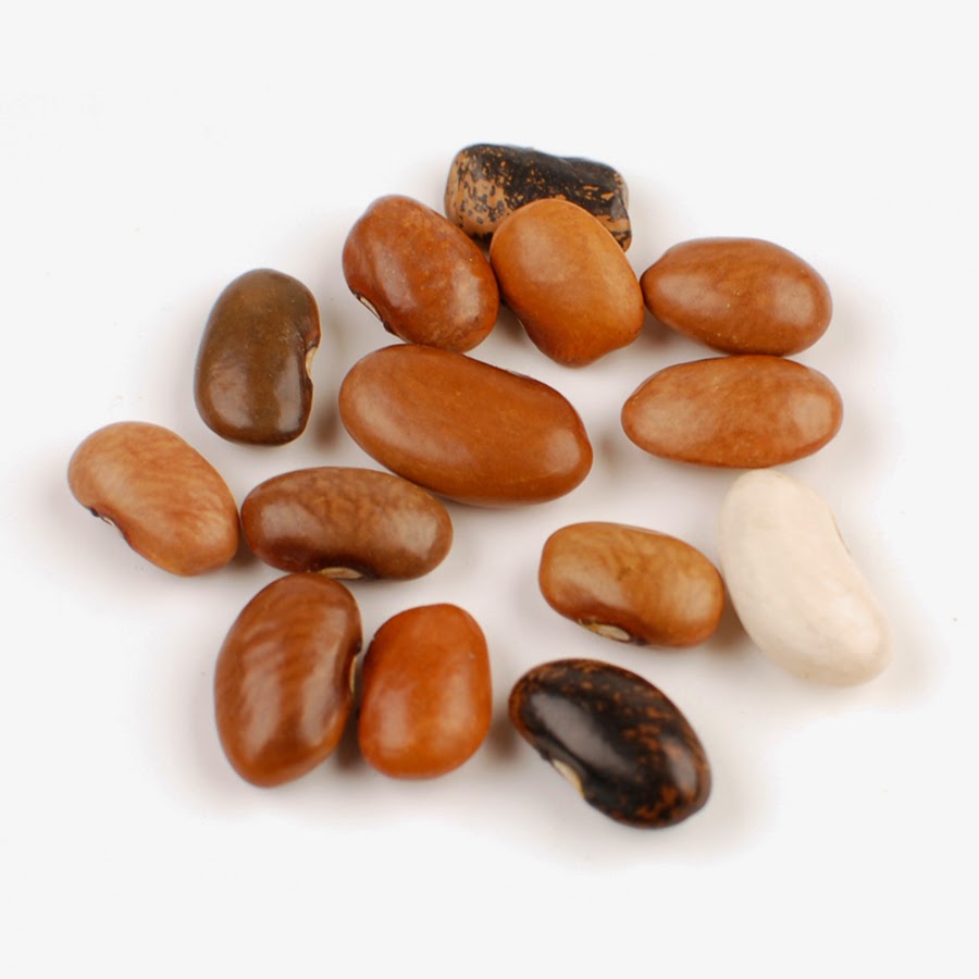 Math Nerd: Under Construction: Math Games for All