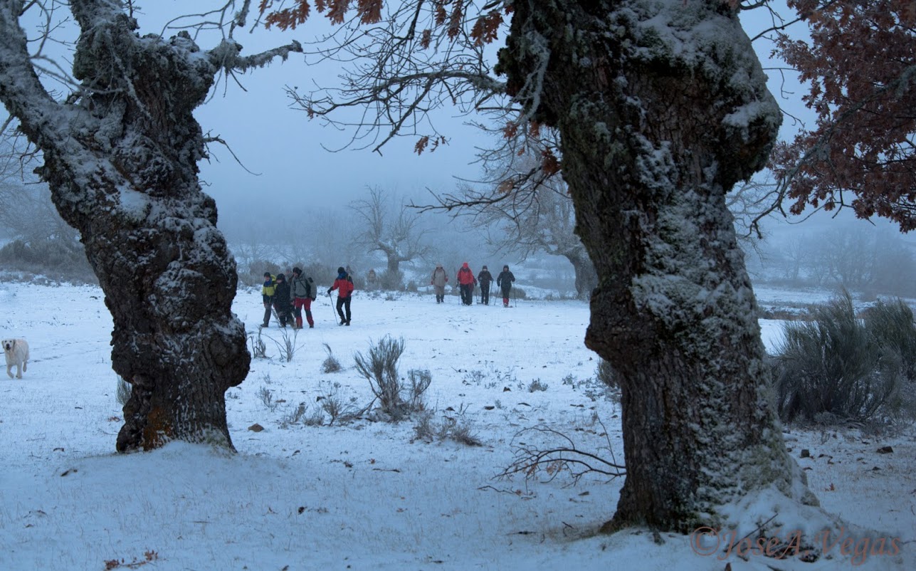 Salandar y AJP. Desde Vadillo de la Sierra al Monasterio del Risco (Ávila)