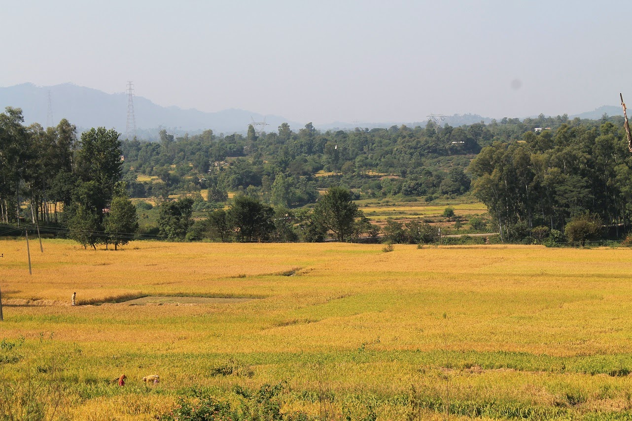 EXPLORING THE EXOTIC JAMMU & KASHMIR REGION: A Sunday drive off to ...