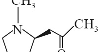 Pyrrolidine Alkaloids