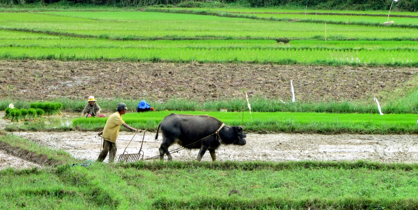 Manipud Kadagiti Editor ti Bannawag: Super Suyod