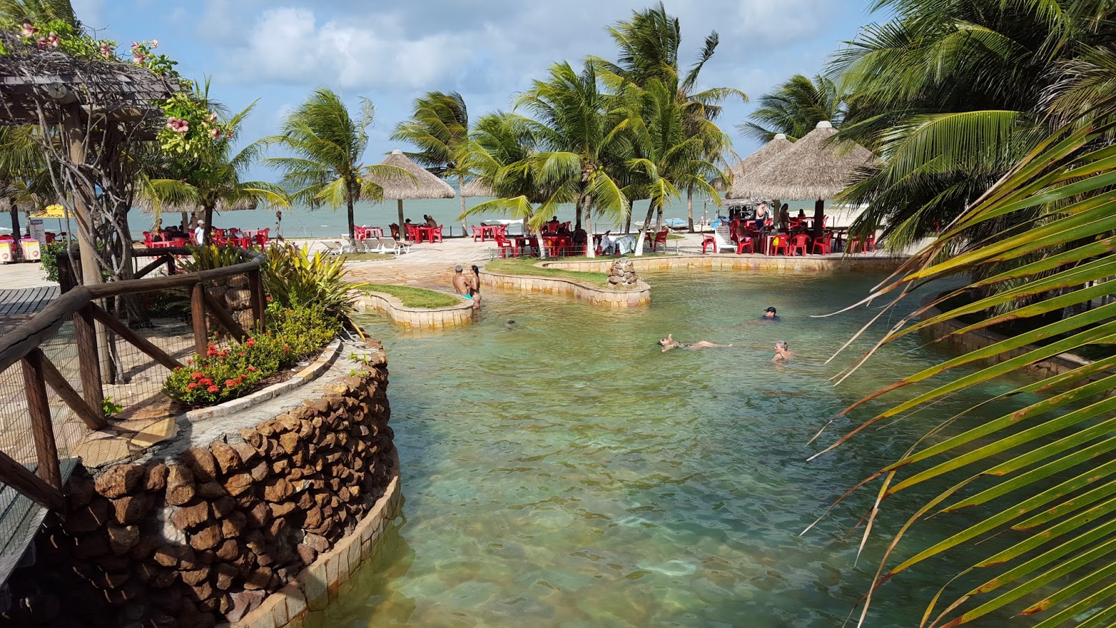 Rio Grande do Norte: piscinas naturais de Maracajaú | Apaixonados por ...