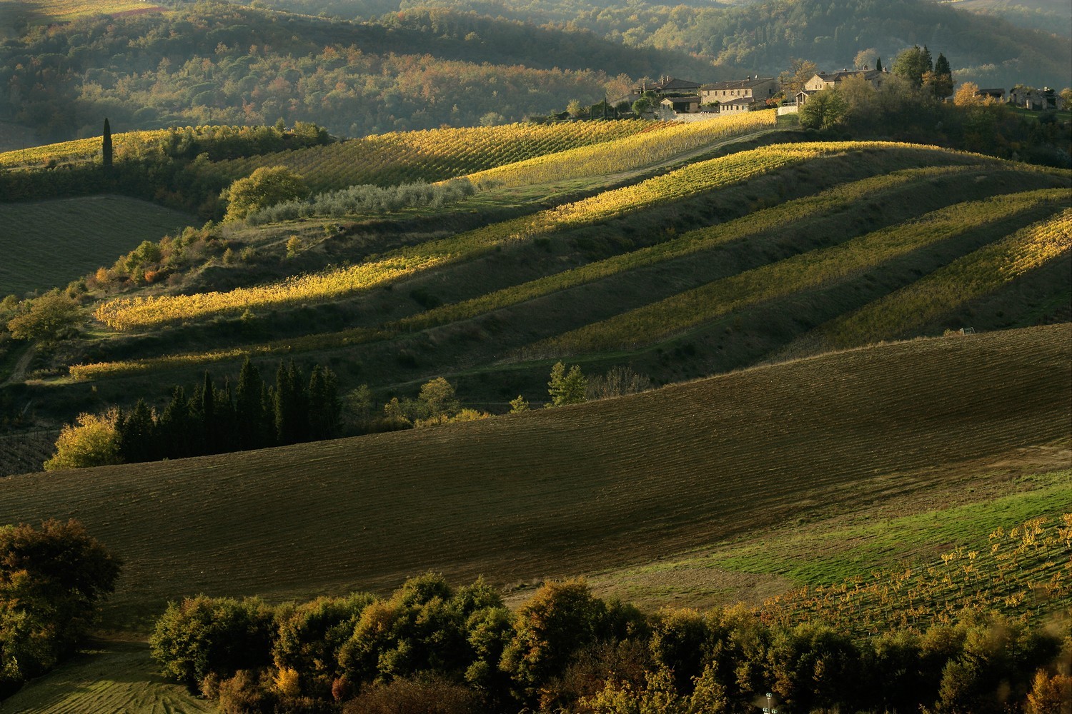 Le colline del Chianti - Toscana