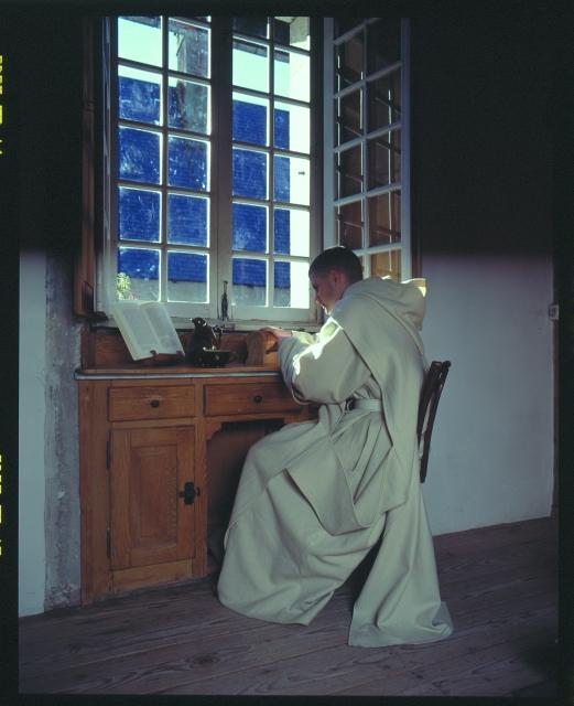 Notes from Stillsong Hermitage: Diocesan Hermits as Hothouse Blooms?