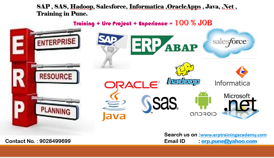 SAP FICO,OracleApps,Hadoop,Salesforce,Informatica,trainings in Pune ...