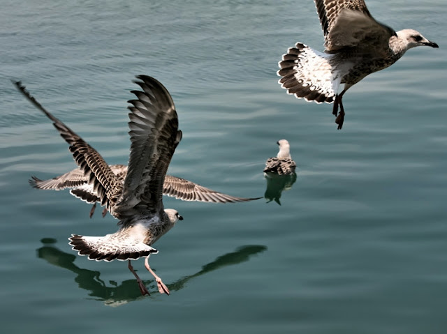 Photographis: July 2012