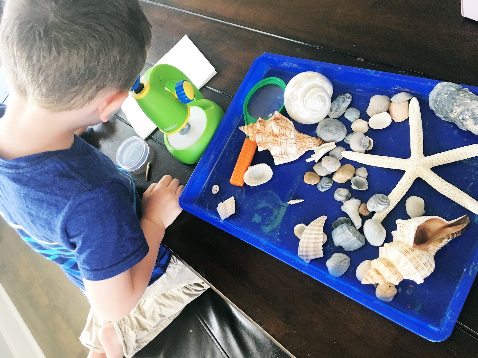 Ocean Preschool Theme