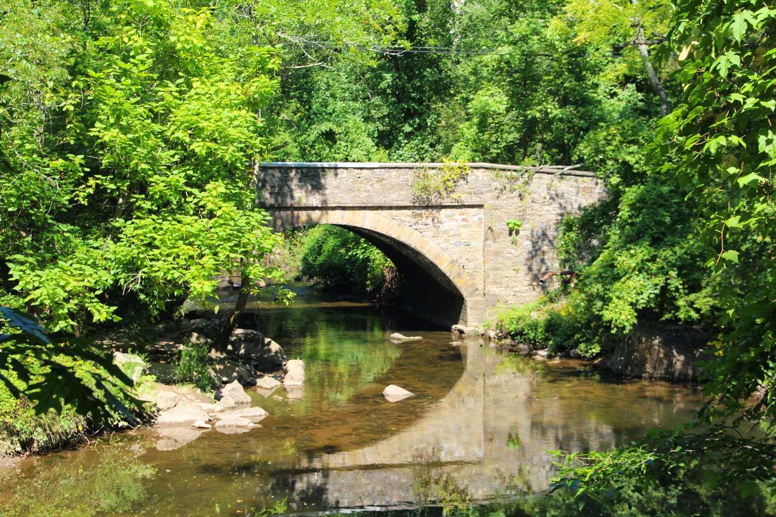 Pennypack's Natural Landscapes: Pennypack Trail Reconnoiter