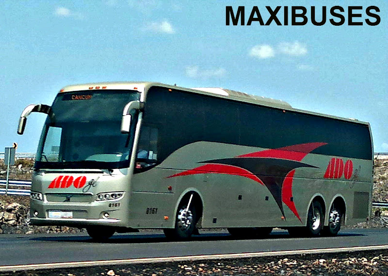MAXIBUSES: ADO GL