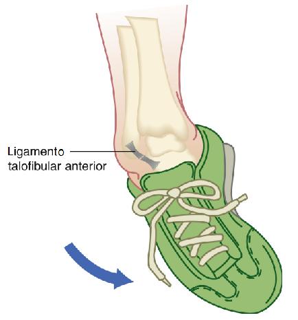 Medicina al día: El Blog del Dr. Sergio Illodo