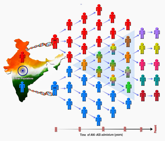 Genética de poblaciones y principio de Hardy-Weinberg