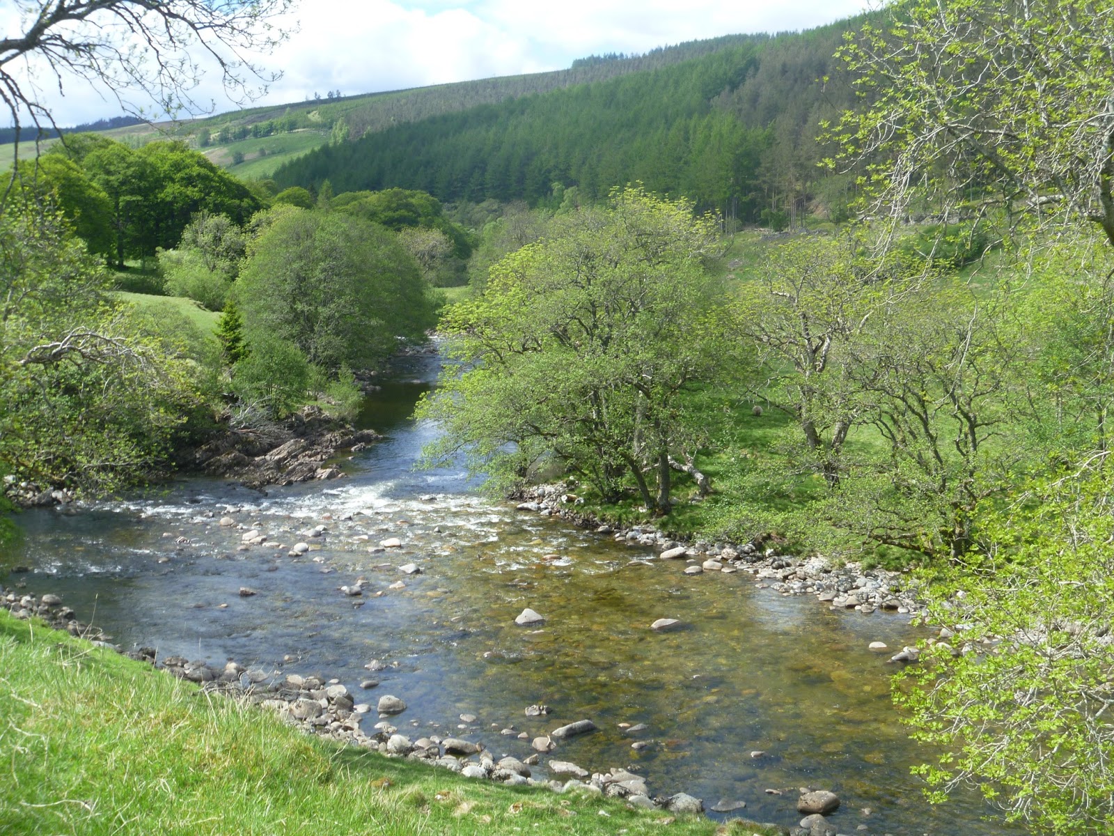 Desmondo's Ramblings: Glen Tilt - Old Bridge of Tilt - Gaw's Bridge