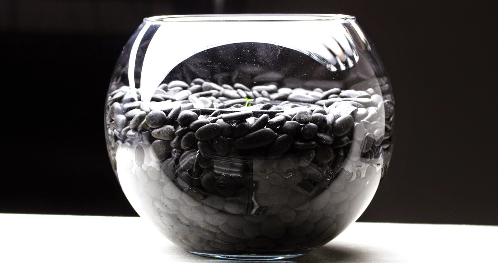 Macro Garden: DIY Elegant Kratky