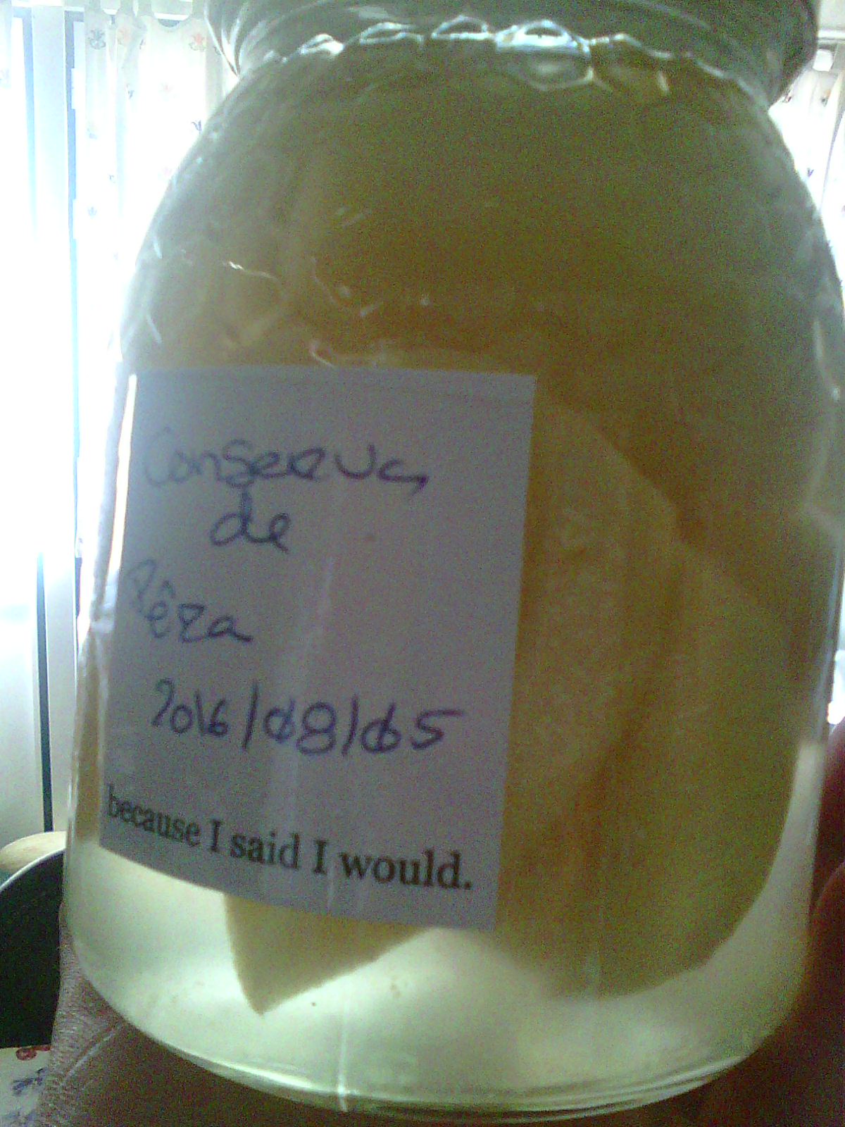 Devaneios Culinários da Tiazinha: Conserva de Pêra e Ameixa Rainha Claúdia