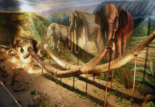 Wisata Museum Sangiran, Situs Purbakala Terbesar di Indonesia