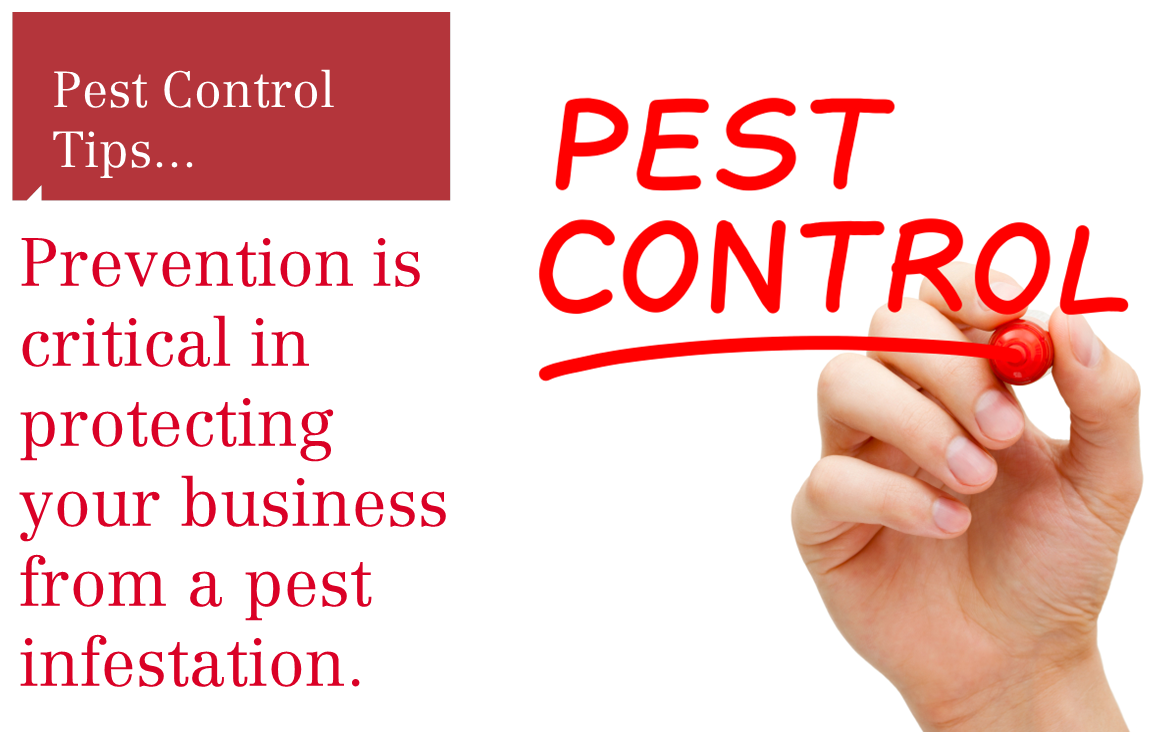 Pest Control 101!