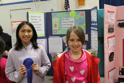 Sunnyland 4th Grade!: Science Fair!