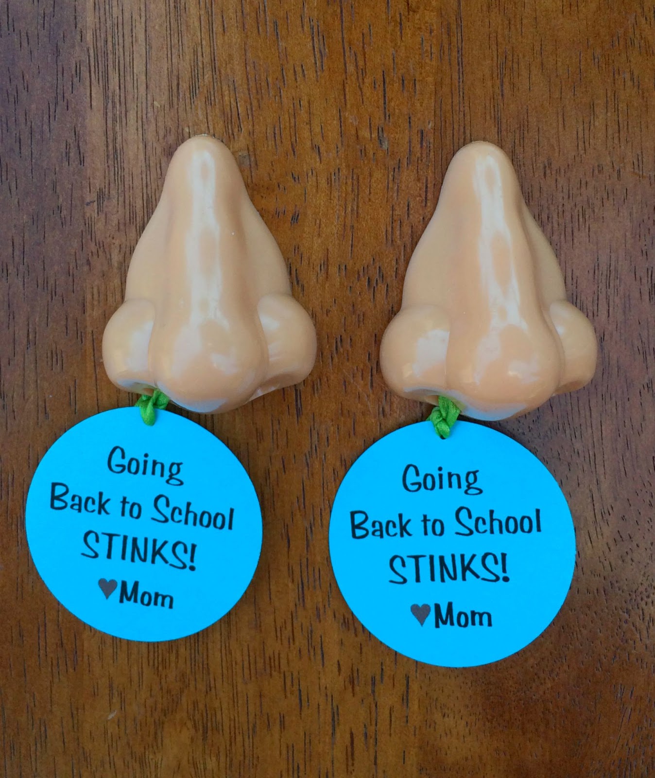 Jac o' lyn Murphy: Going Back to School Stinks!