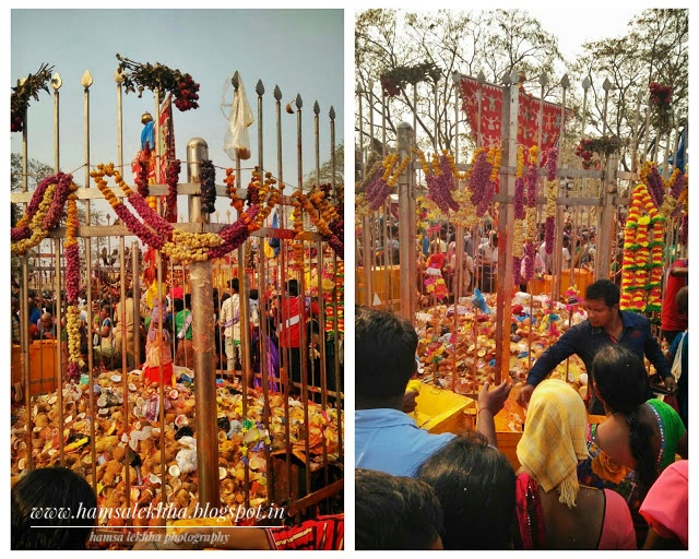 Hamsa Lekhha Travel diaries: MEDARAM---SAMMAKKA SARAKKA JATHARA ...