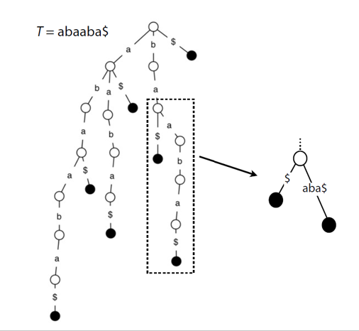 블로그: [알고리즘] Suffix Tree