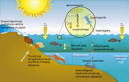 ΠΕΡΙΒΑΛΛΟΝ: Η ρύπανση της θάλασσας: Νιτρορύπανση και ευτροφισμός