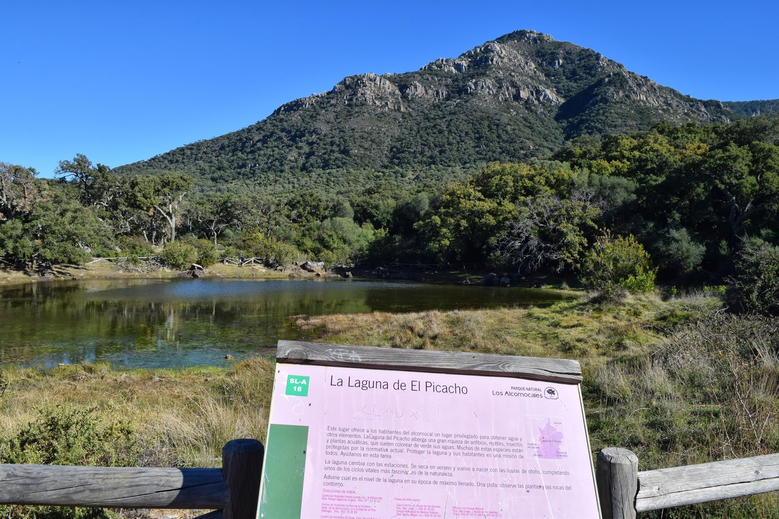 Subida al Picacho - Un Destino Entre Mis Manos