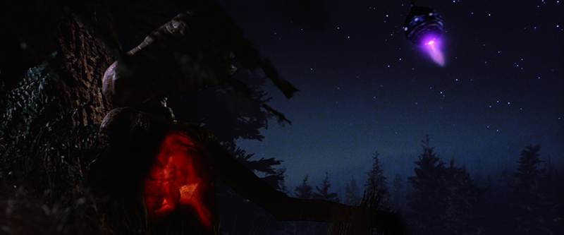 Top 10 Movies I’ve Seen the Most | And So It Begins...