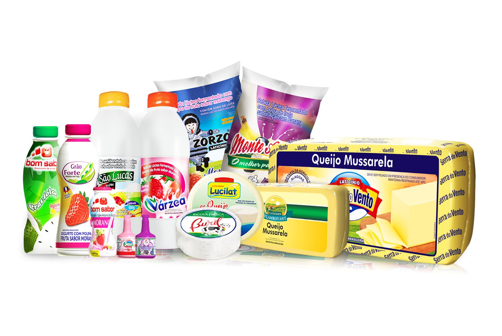 Tekmilk projetos para laticínios: Rotulos para laticinios