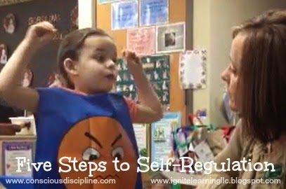 Ignite Learning with Conscious Discipline LLC: Five Steps for Self ...