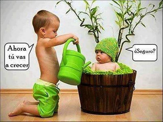 La Palabra Del Dia: "crecer" | SpanishDictionary.com Answers