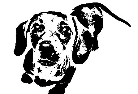 Cristiandlr's blog: Color Images to Bitonal (BinarizeBradley Algorithm)