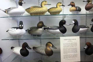 Parting the Water: Spring Vacation Part IV (ducks)