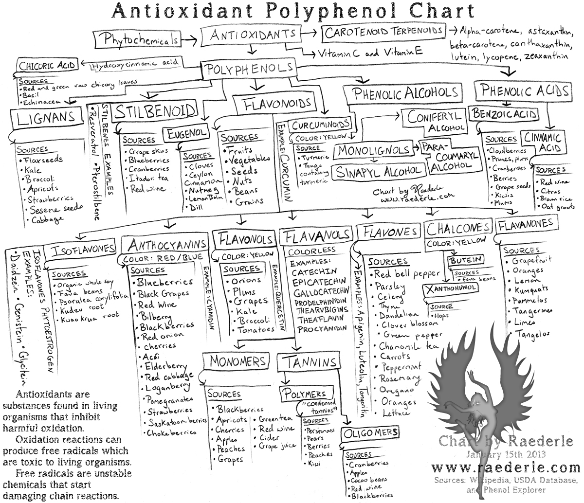Minerals versus Vitamins versus Antioxidants versus Hormones