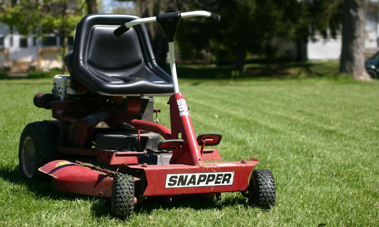 The Butterfly Riot: The Snapper