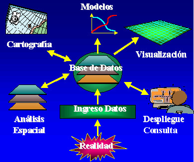 estrategias de los sistemas informaticos: Modelo De Sistemas De Información