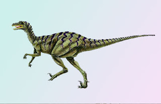Dinosaur info: Dromaeosaurus