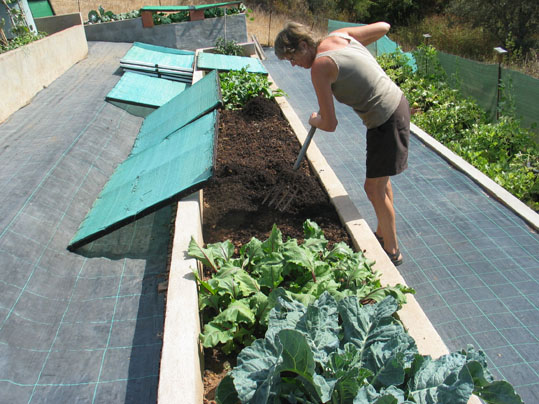 Compost Farming Hestel Tellus: Alwin Seifert and the Microbes.