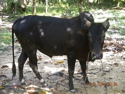 Borhan, Dulu-dulu (Fond Memories, Good Old Days)