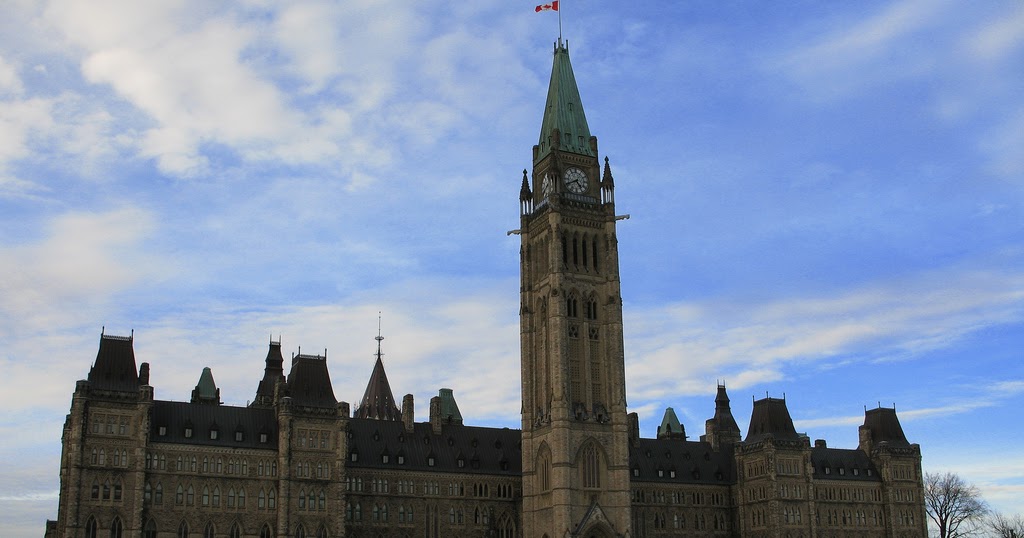She Who Seeks: Parliament Hill Cats