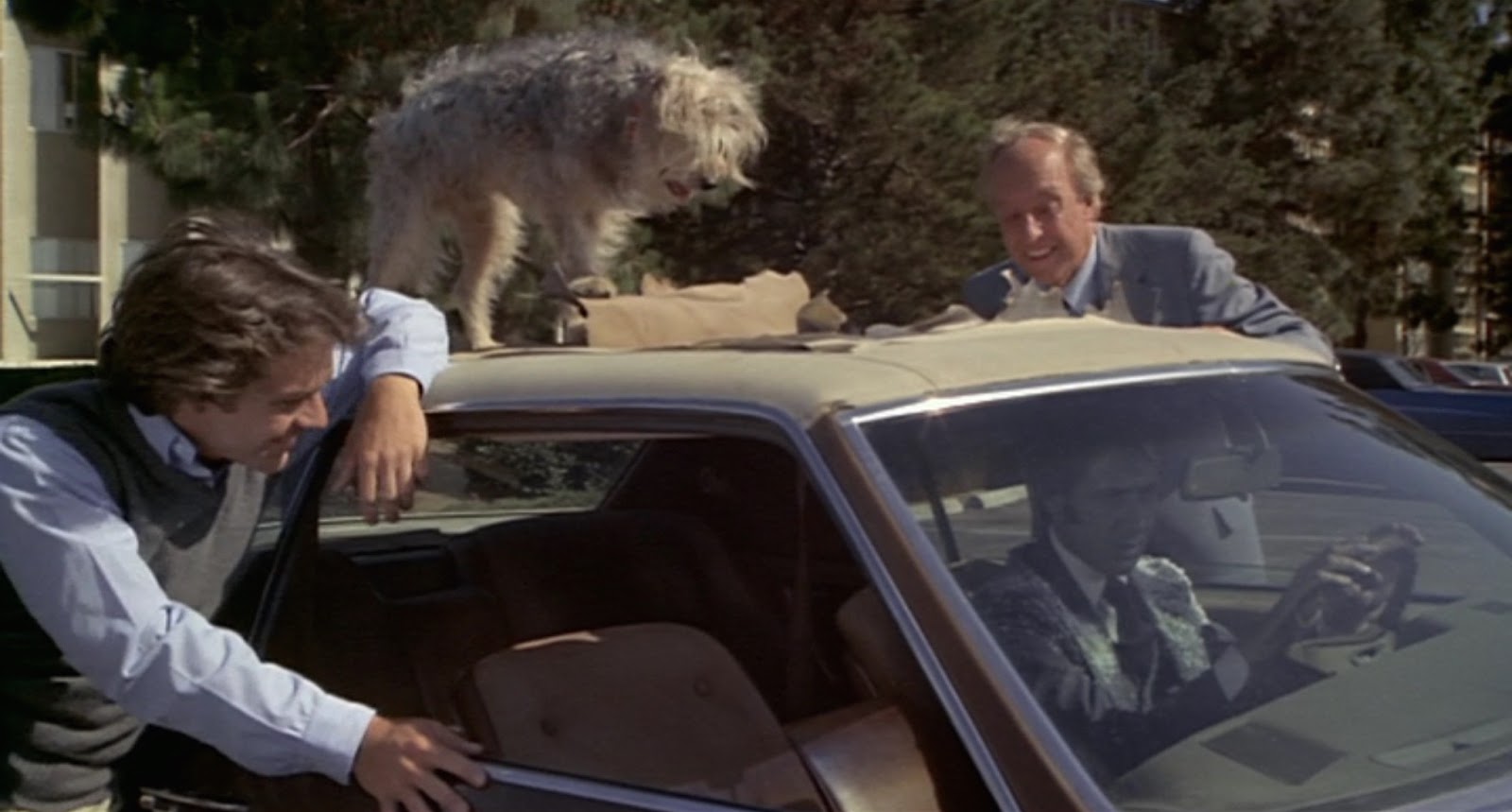 Psychostasy of the Film: C.H.O.M.P.S. (1979)