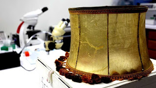 Lampshades made from human skin