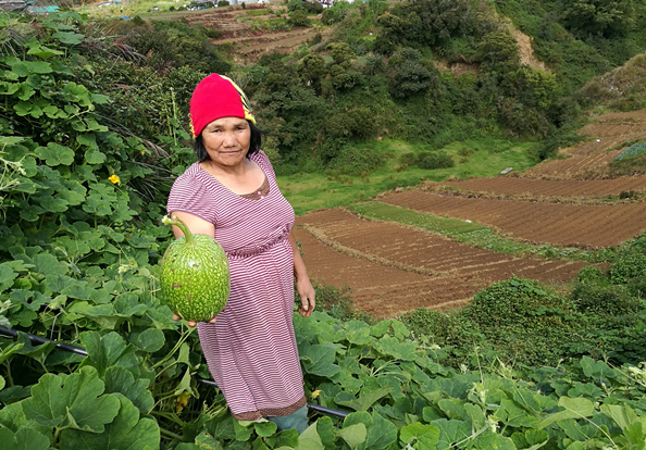 🇵🇭 BENGUET • Former OFW Uplifts Cordillera Farmers Into Exporters ...