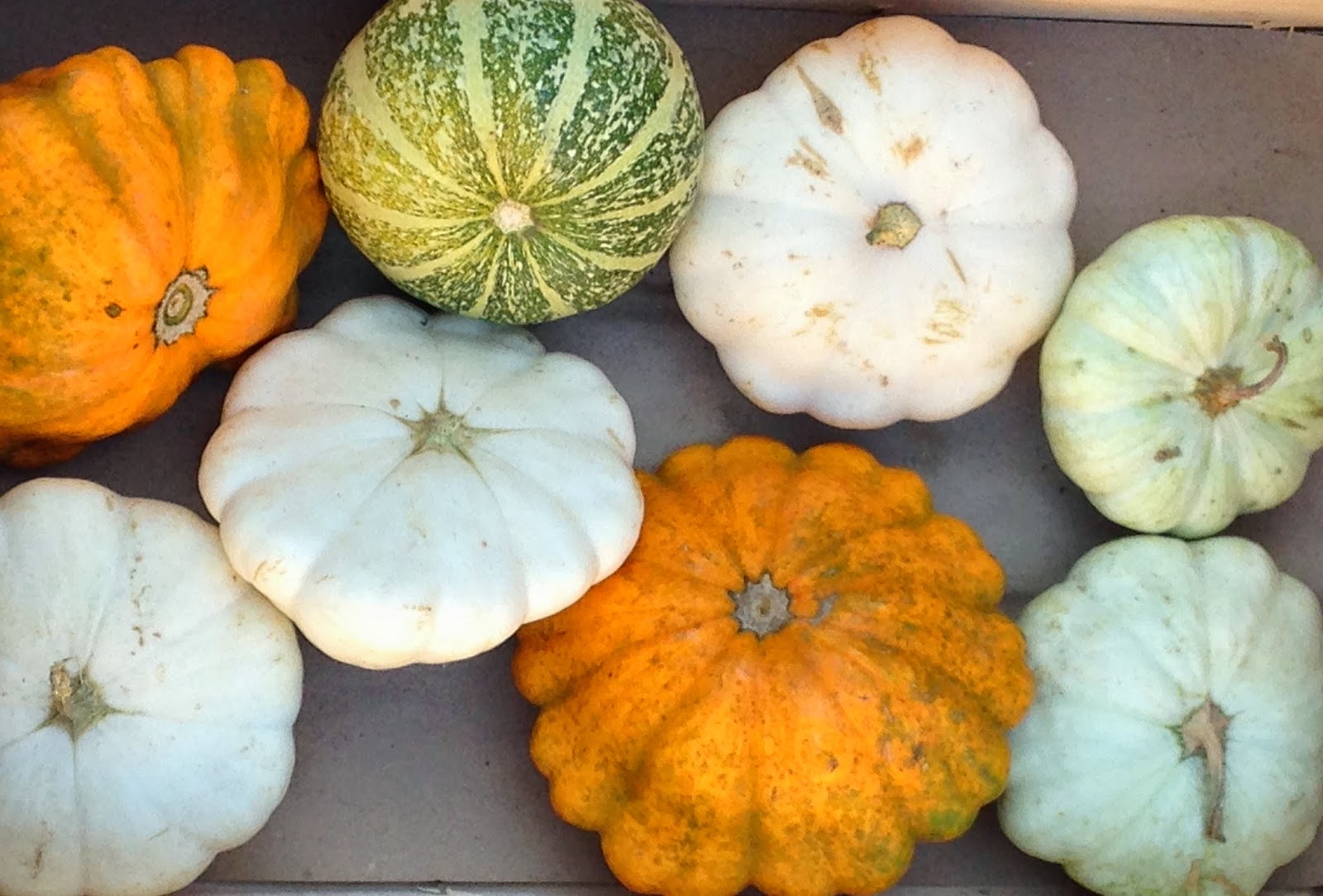 Demerara : Tarta de calabaza