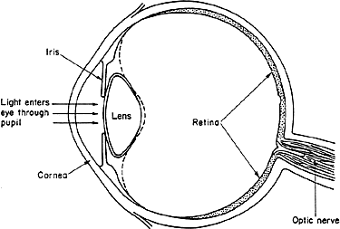 Design Context: Ten things you need to now about Graphic Design