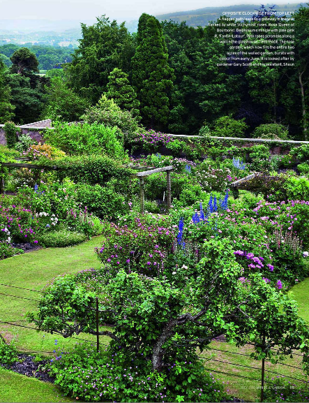 Splendid Sass: BEAUFRONT CASTLE IN NORTHUMBERLAND