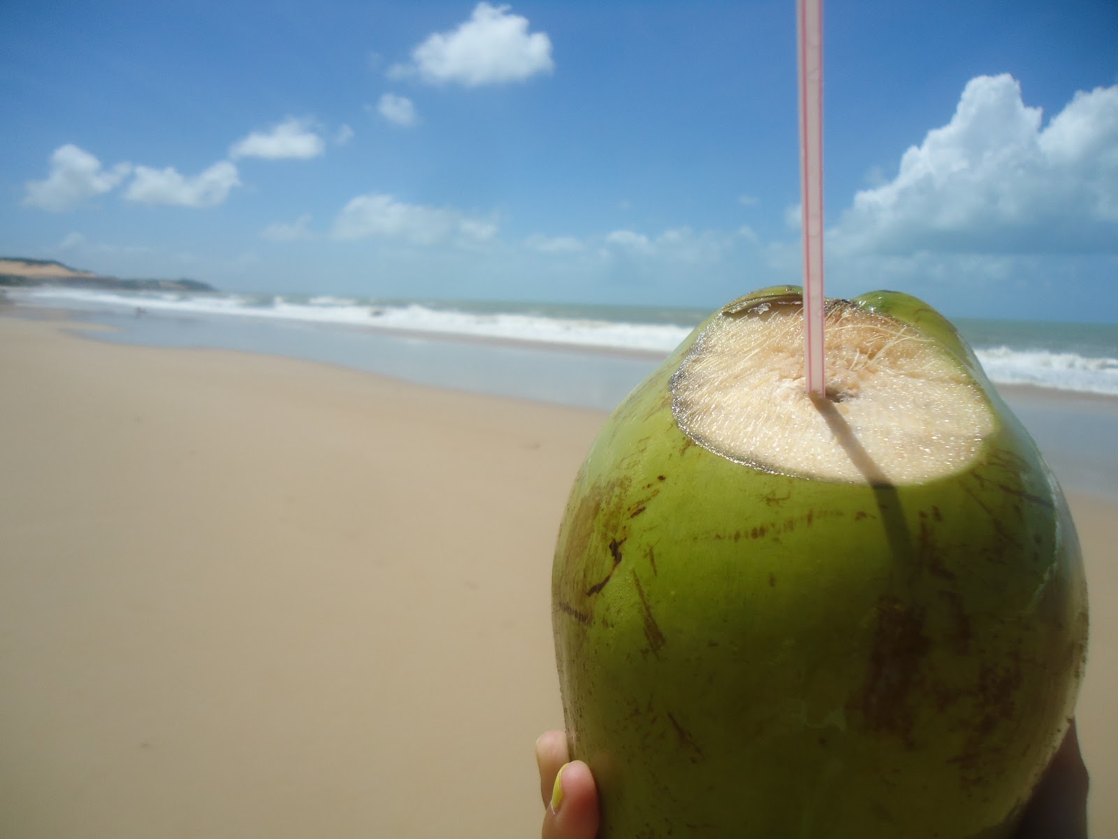 DIARIO DE UNA VIAJERA: Olà BRAZIL: PRAIA PIPA (2)