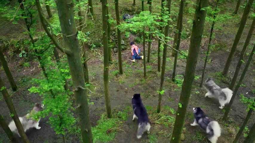 Prince of Wolf 狼王子 - Episode 1 (A WTFcap)